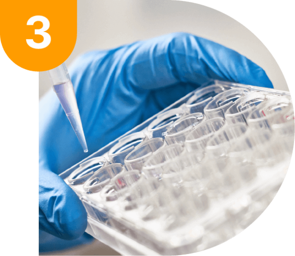 DNA Paternity Test - Results in 1-2 Days | DNA Tests Direct Canada